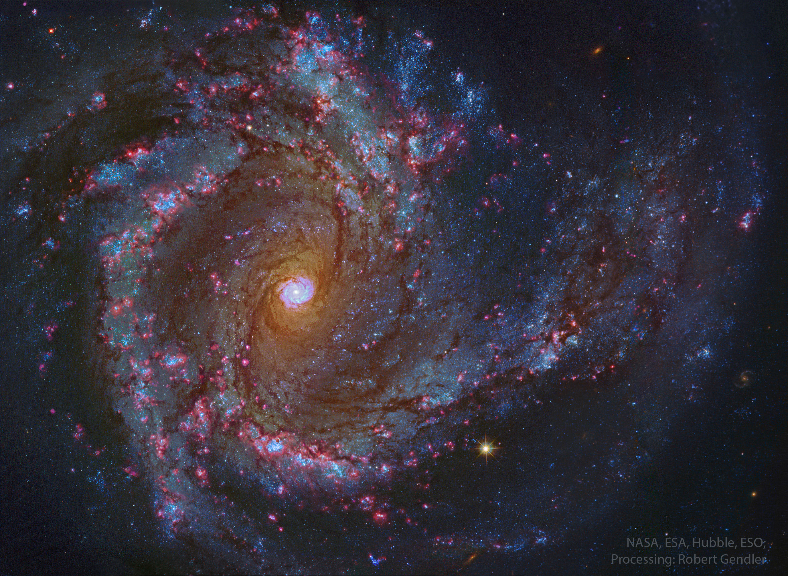 APOD 2025 June 24 In The Center Of Spiral Galaxy M61